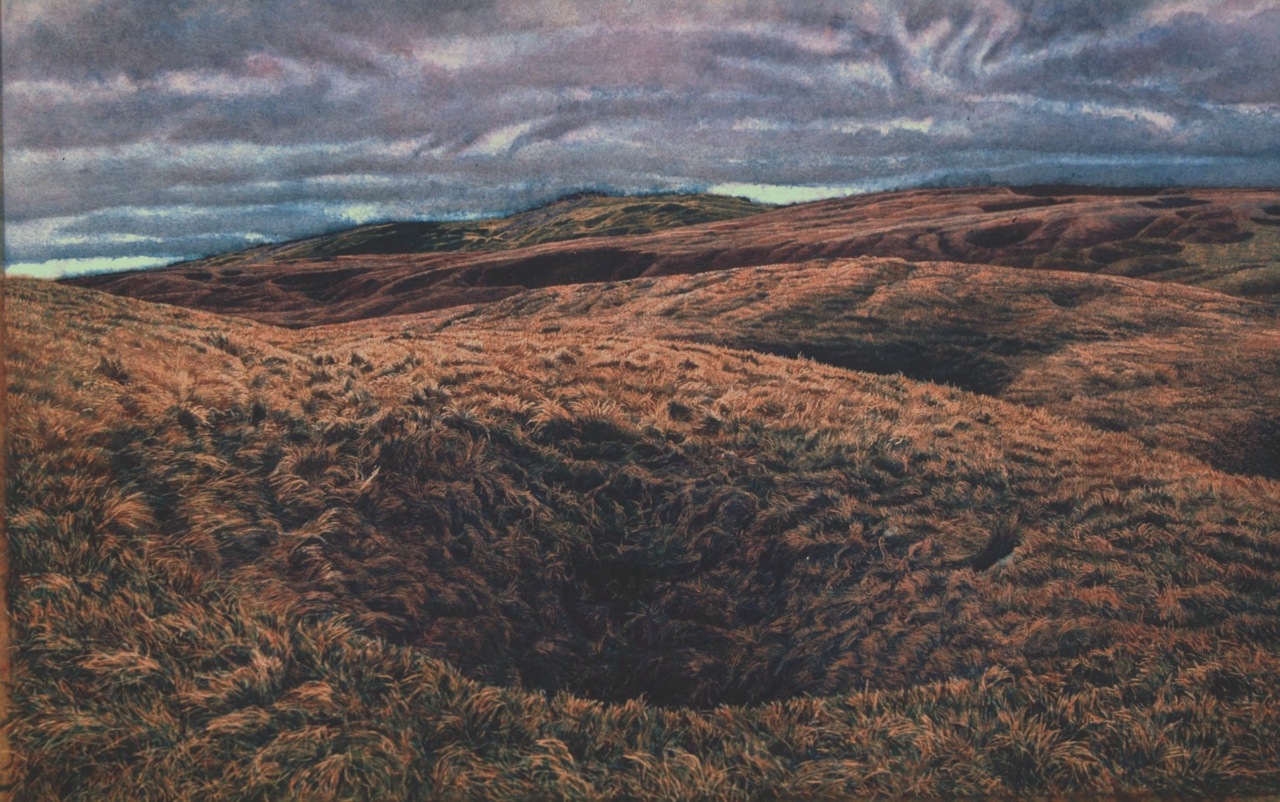 PAINTINGS AND DRAWINGS